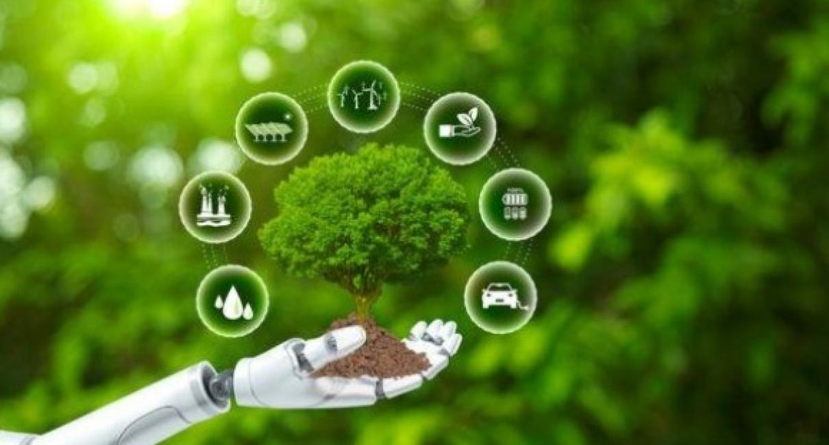 MA in Environmental Studies: Info Session | New Environmental School ...